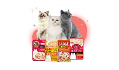 For Cat JP Package - Inaba | Pet Foods