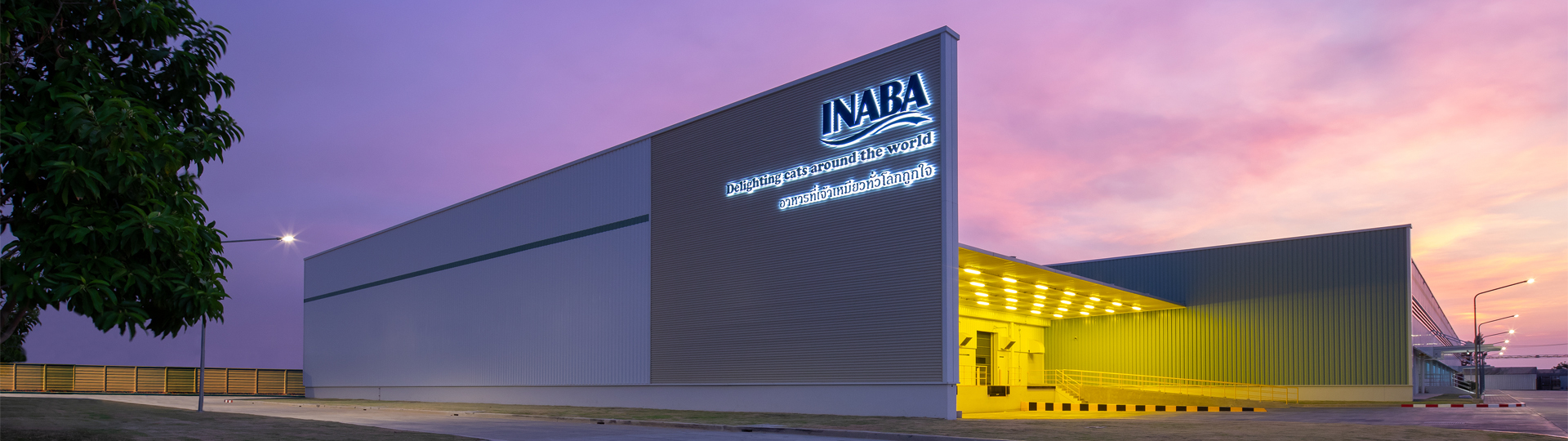 “Delighting Cats around the World”